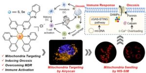 New Articles in J. Am. Chem. Soc. and Angew. Chem. Int. Ed. – The ...